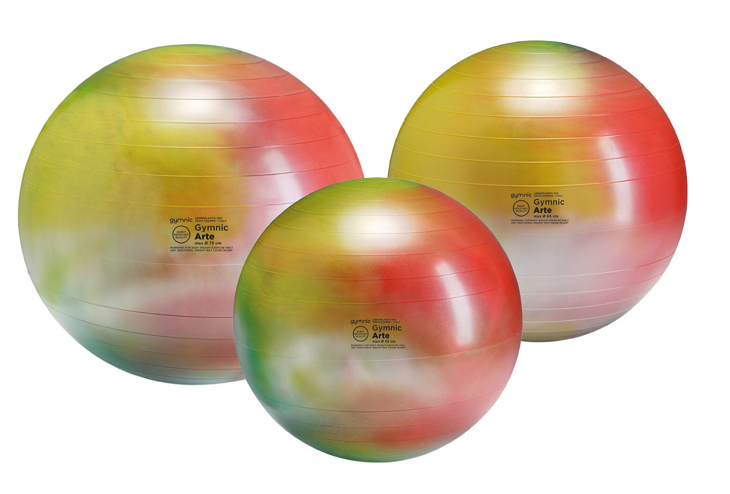 Gymnic Arte Plus Balls – HPMS, Inc. The Therapy Connection